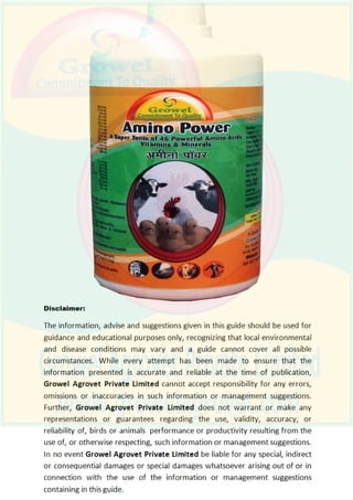 Layer Poultry Housing Management | PDF