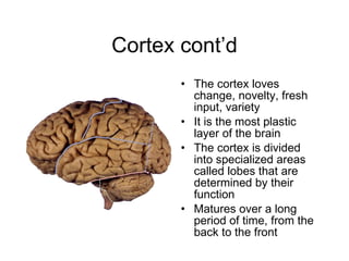 Layers and Lobes | PPT