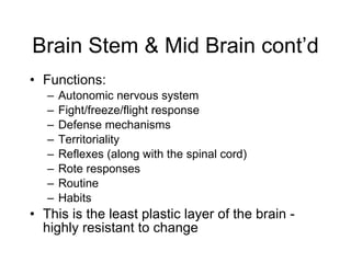 Layers and Lobes | PPT