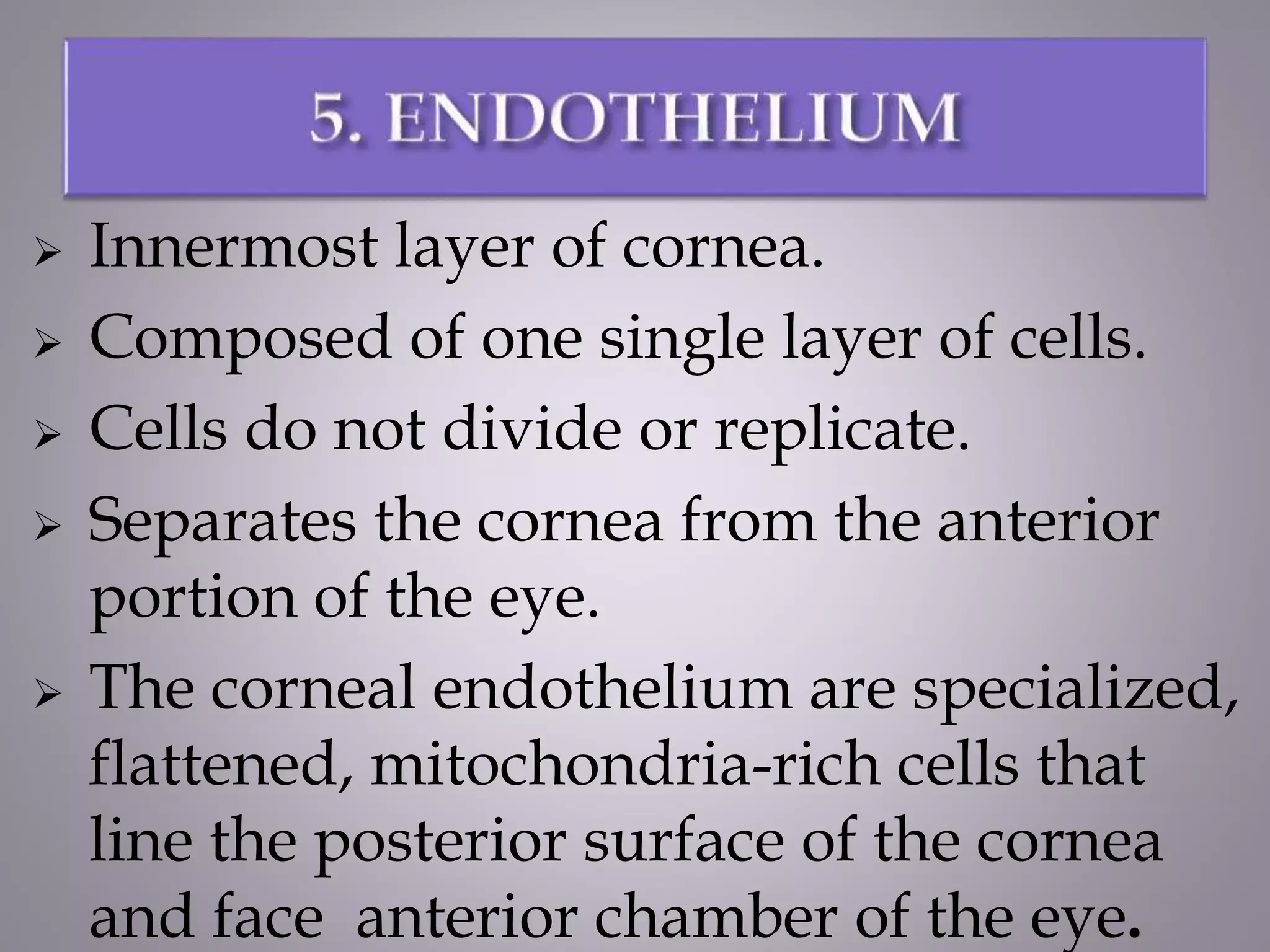 Layers of cornea | PPTX