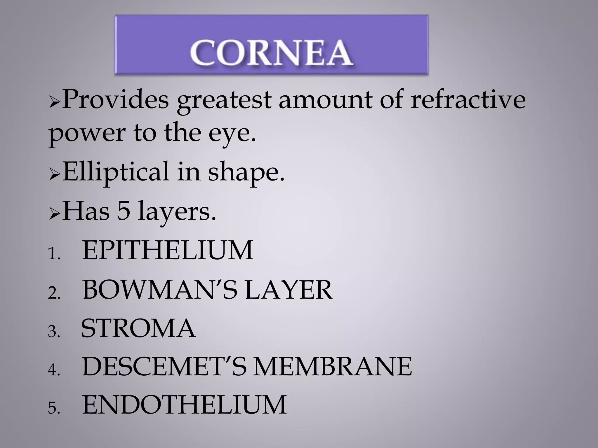Layers of cornea | PPTX
