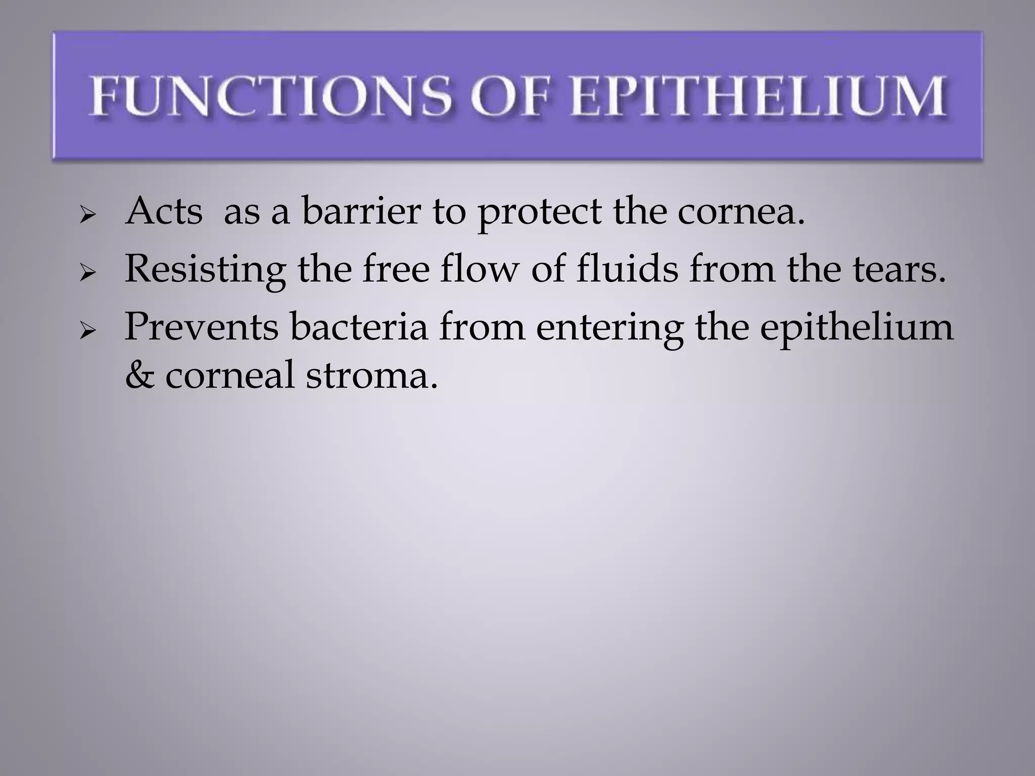 Layers of cornea | PPTX