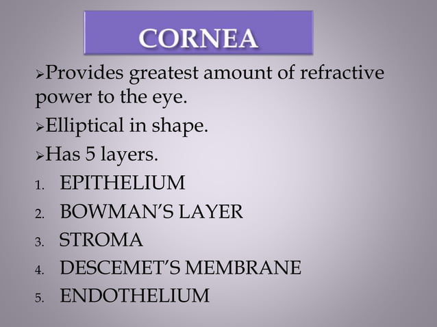 Layers of cornea | PPTX