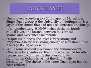 Layers of cornea | PPTX