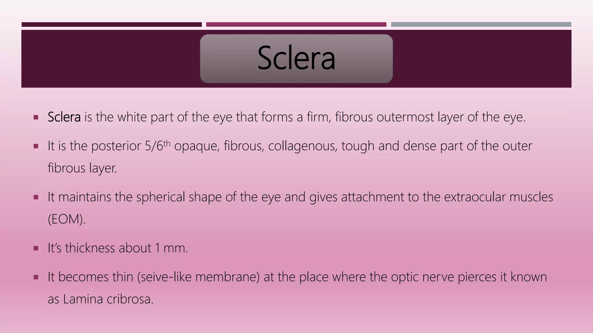 Anatomy of the eye and Layers of eyeball | PPTX