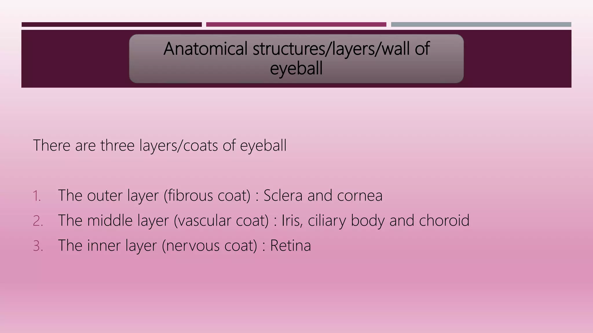 Anatomy of the eye and Layers of eyeball | PPTX