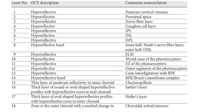 Layers of retina over OCT and histology.pptx