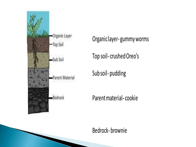Layers of soil | PPTX