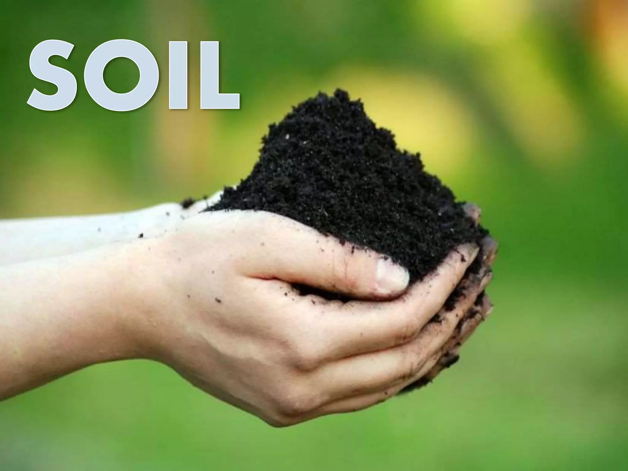 Layers of soil | PPTX