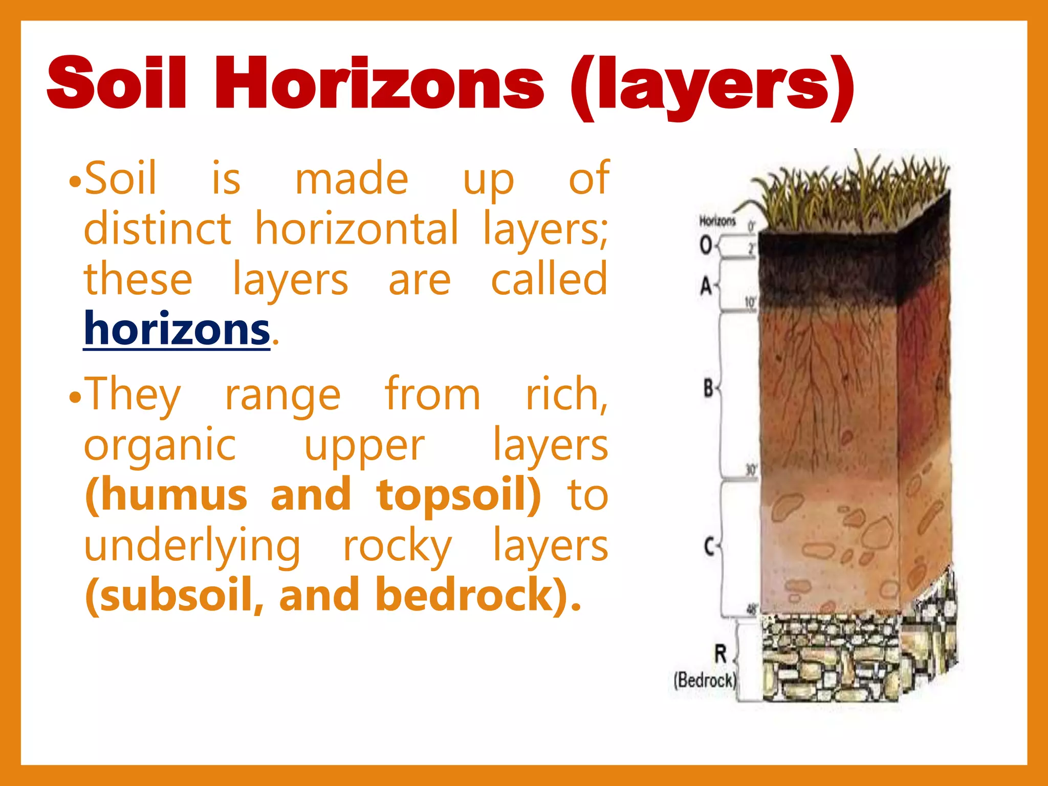 Layers of soil | PPTX