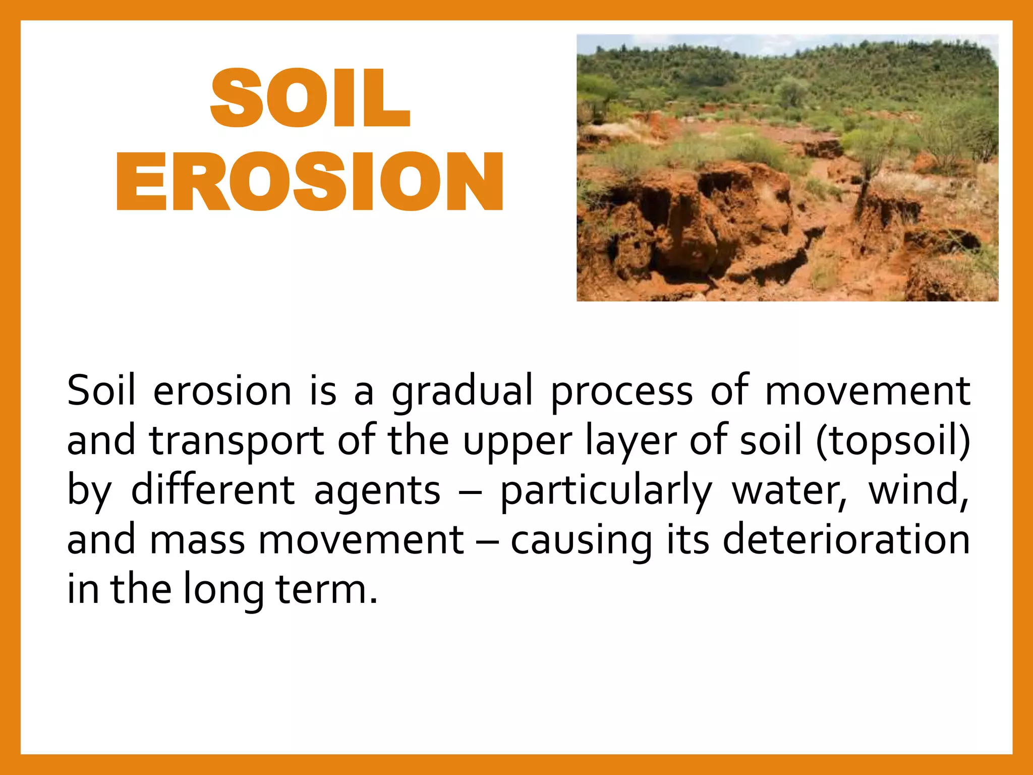 Layers of soil | PPTX