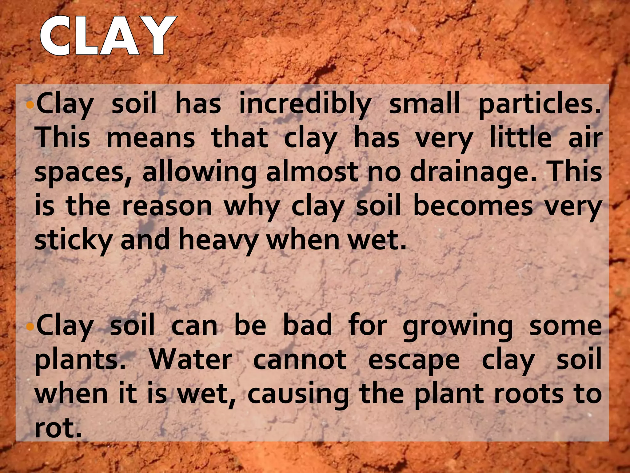 Layers of soil | PPTX