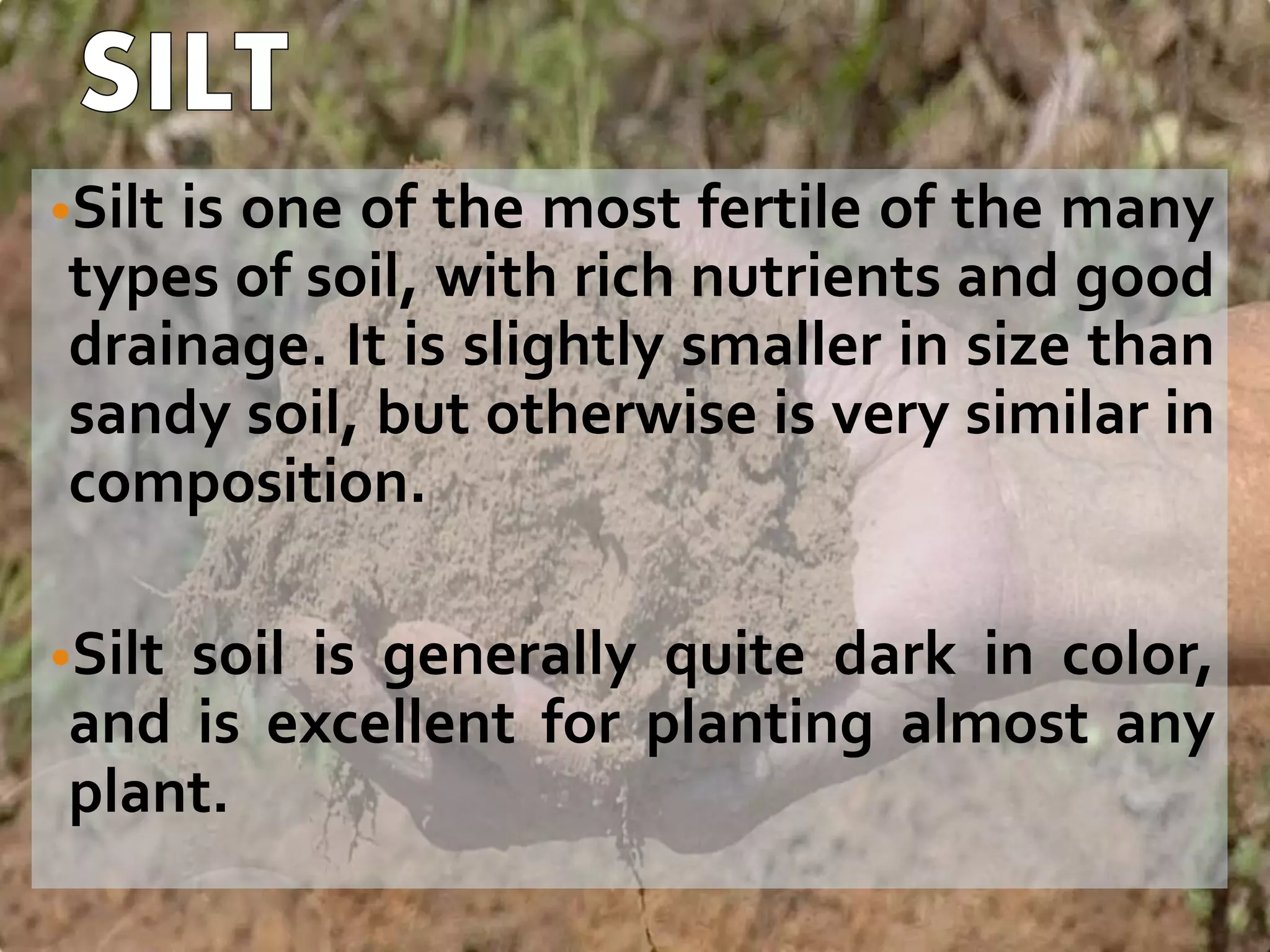 Layers of soil | PPTX