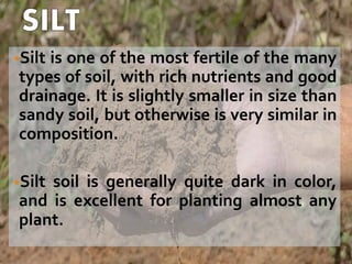 Layers of soil | PPTX