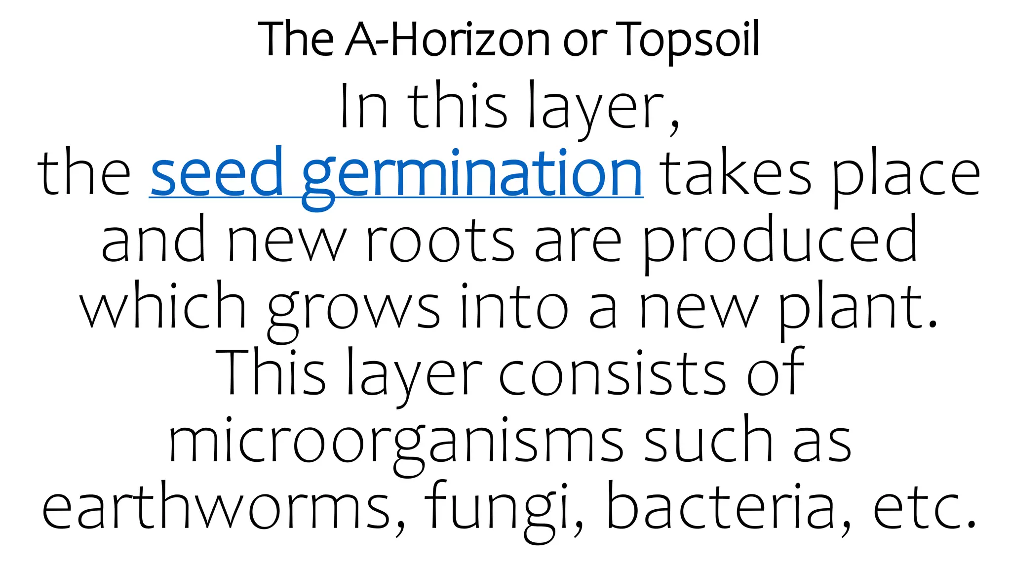 layers of soil.pptx