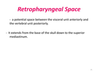 Layers of the neck | PPTX
