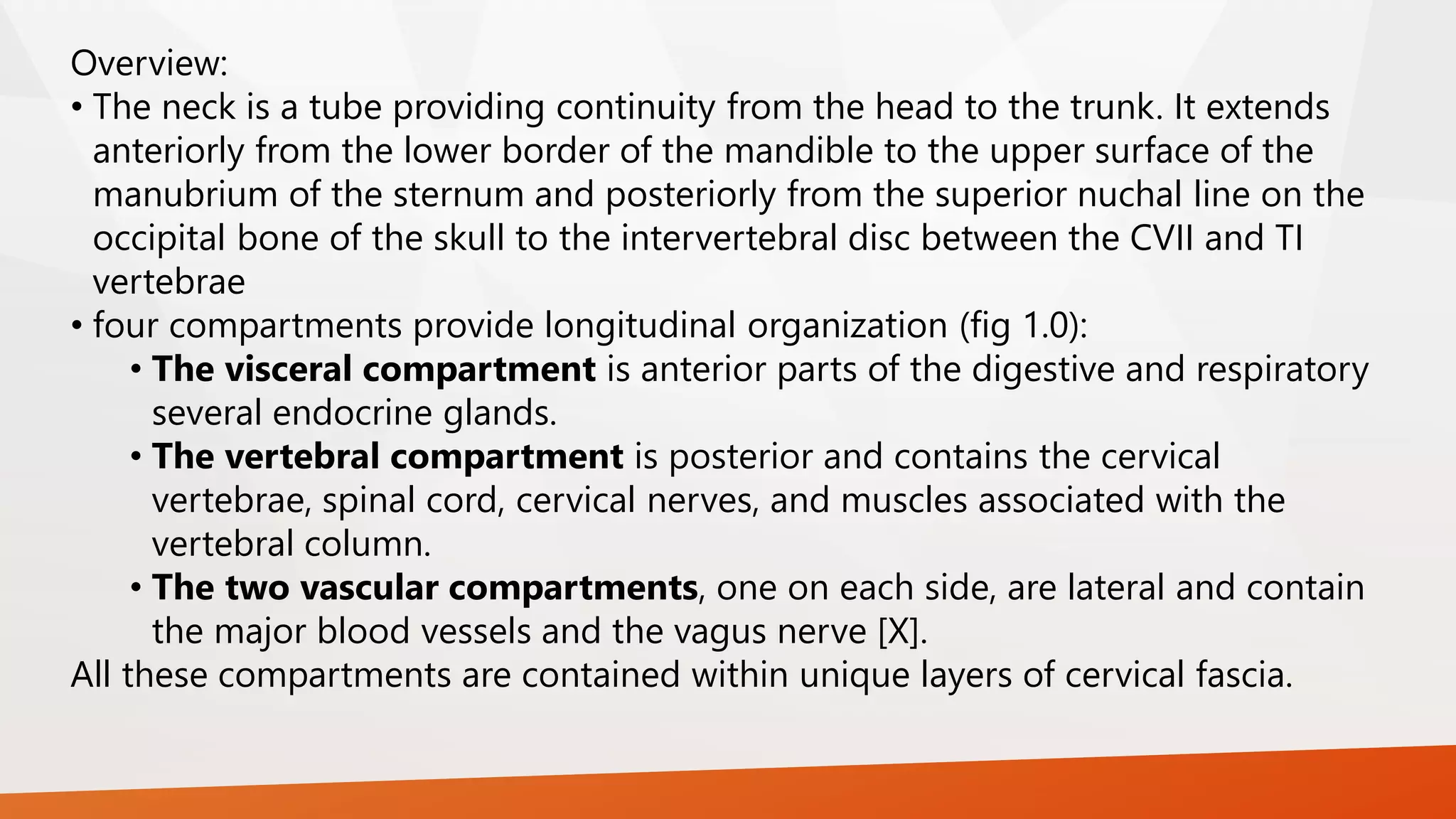 Layers of the neck | PPTX