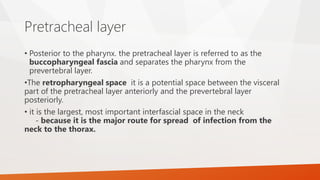 Layers of the neck | PPTX