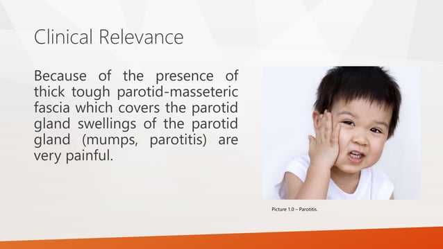 Layers of the neck | PPT