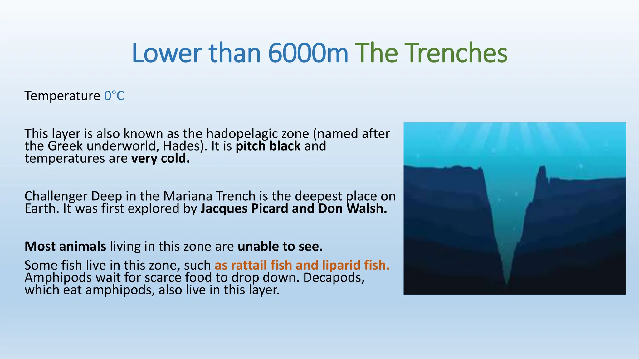 LAYERS OF THE OCEAN EXPLAINS IN SHORT for kids | PPTX