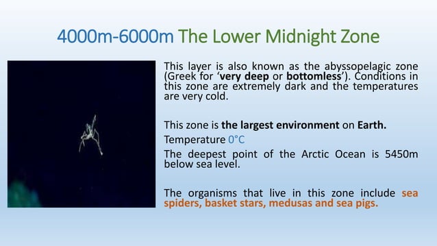 LAYERS OF THE OCEAN EXPLAINS IN SHORT for kids | PPTX | Geography | Science
