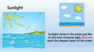 LAYERS OF THE OCEAN EXPLAINS IN SHORT for kids | PPTX