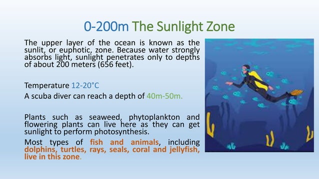 LAYERS OF THE OCEAN EXPLAINS IN SHORT for kids | PPTX | Geography | Science