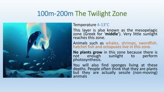 LAYERS OF THE OCEAN EXPLAINS IN SHORT for kids | PPTX