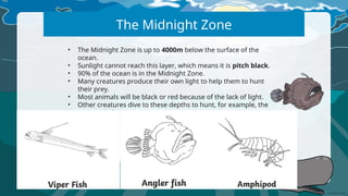 Layers of the Ocean This is a PPT that starts to explain the vocabulary ...