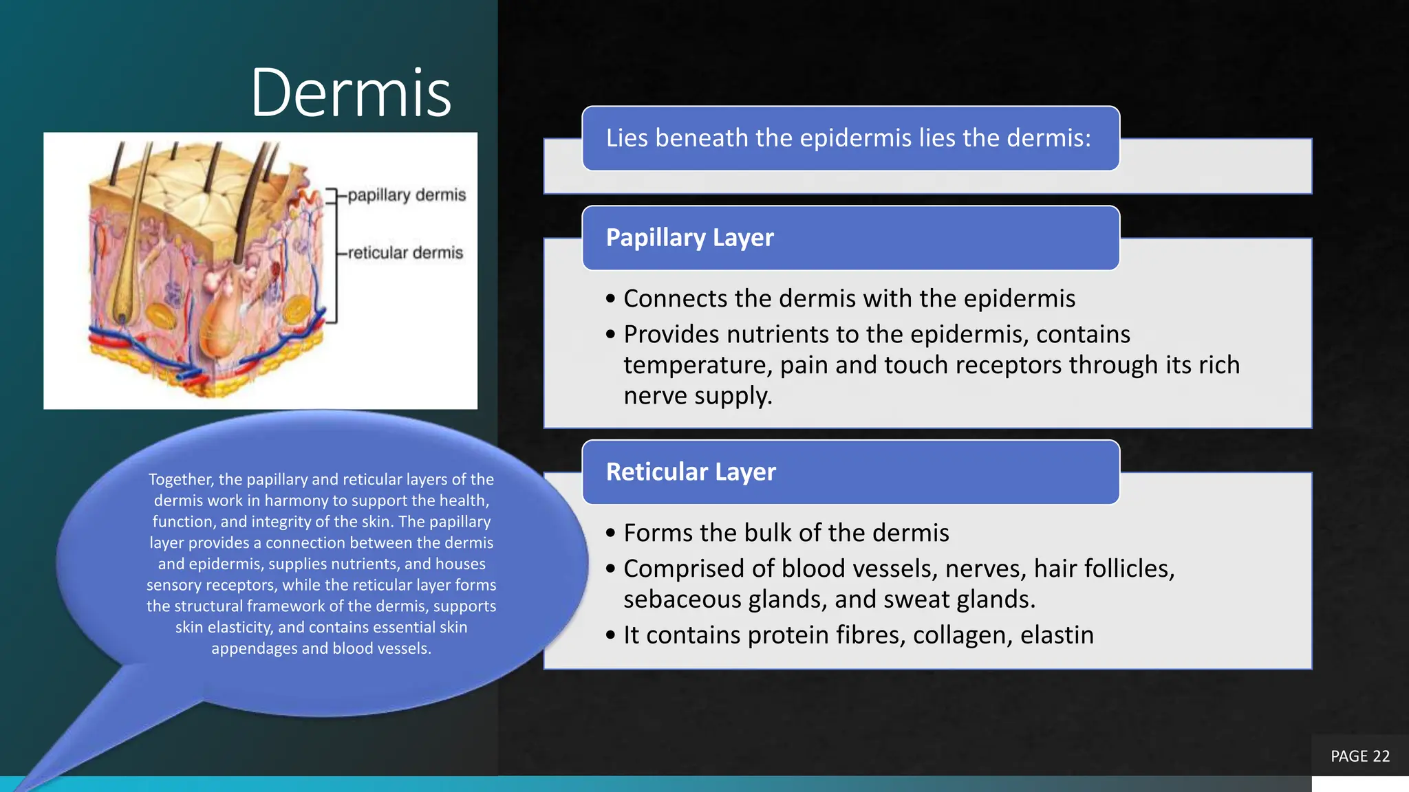 Layers of the skin and their functions.pptx