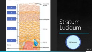 Layers of the skin and their functions.pptx