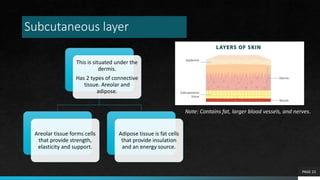 Layers of the skin and their functions.pptx