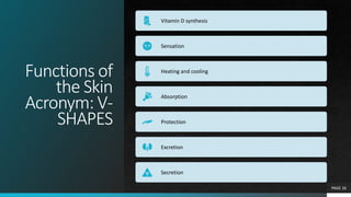 Layers of the skin and their functions.pptx