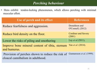 Laying hens' Behaviour and Production Perspective.pptx