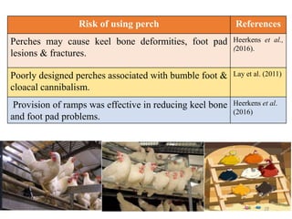 Laying hens' Behaviour and Production Perspective.pptx