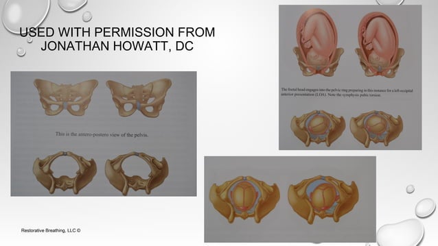 Laynee spreecast | PPT