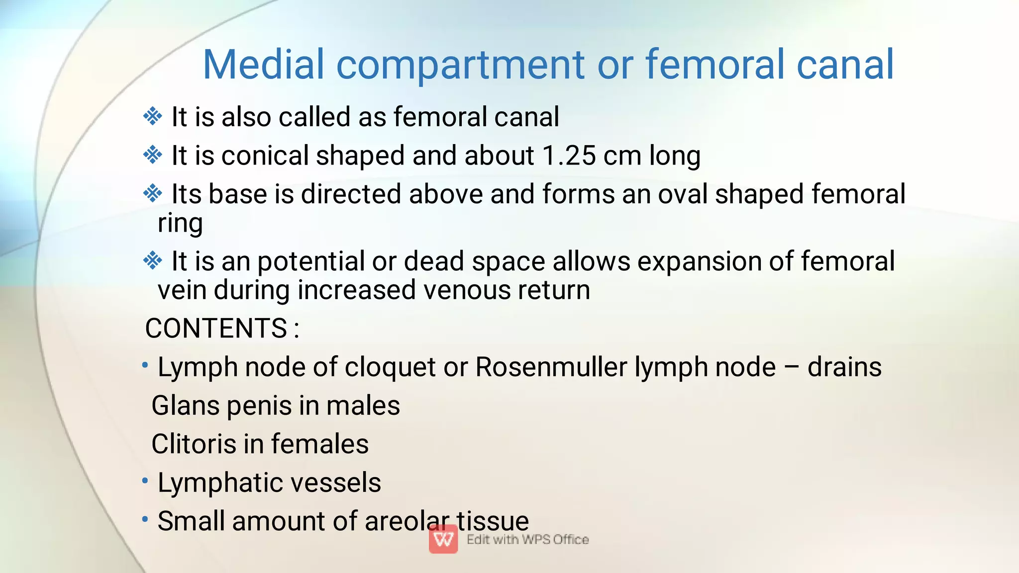 FEMORAL_SHEATH_AND_FEMORAL_HERNIA(2).pdf