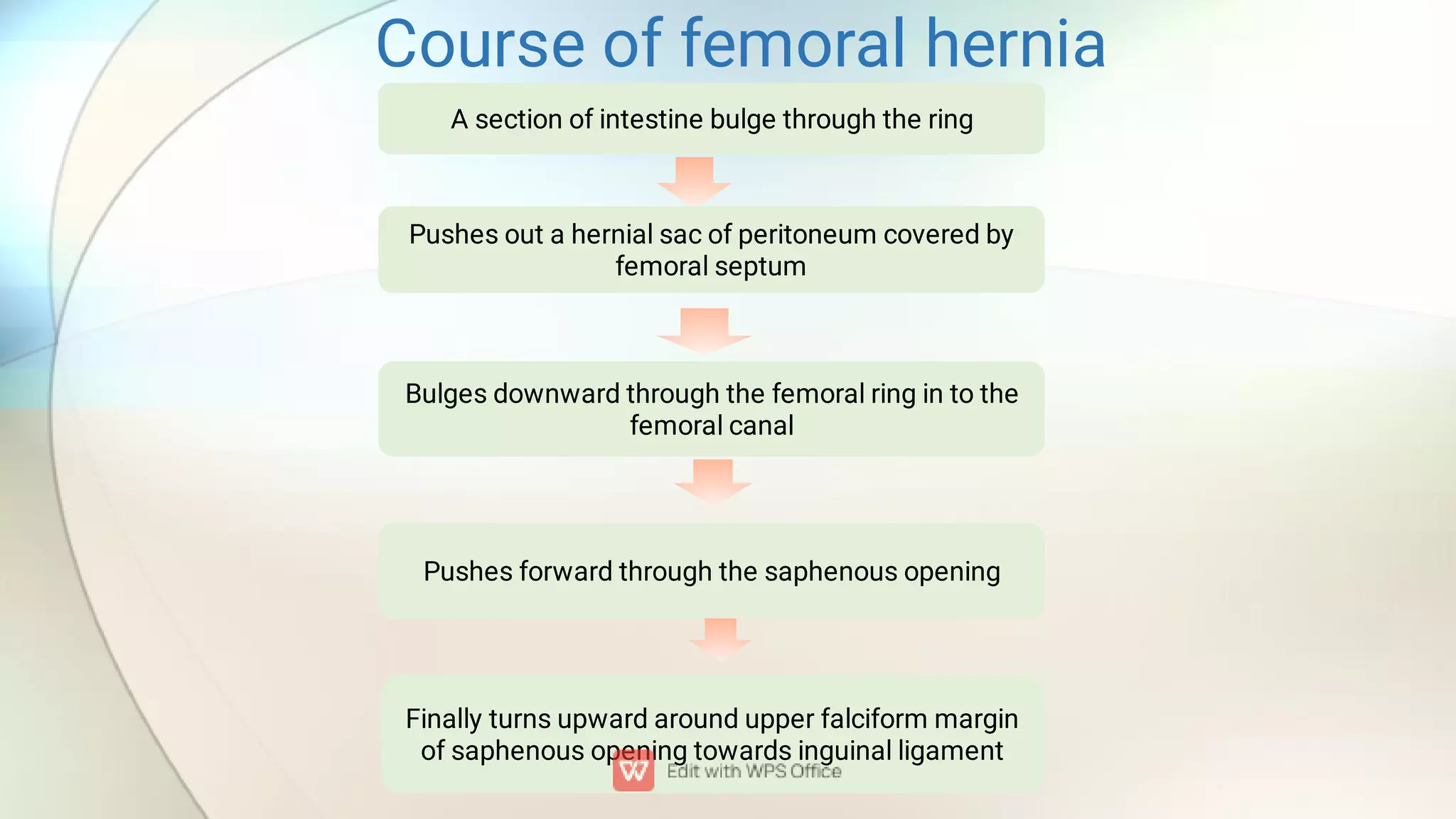 FEMORAL_SHEATH_AND_FEMORAL_HERNIA(2).pdf