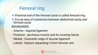FEMORAL_SHEATH_AND_FEMORAL_HERNIA(2).pdf