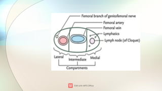 FEMORAL_SHEATH_AND_FEMORAL_HERNIA(2).pdf