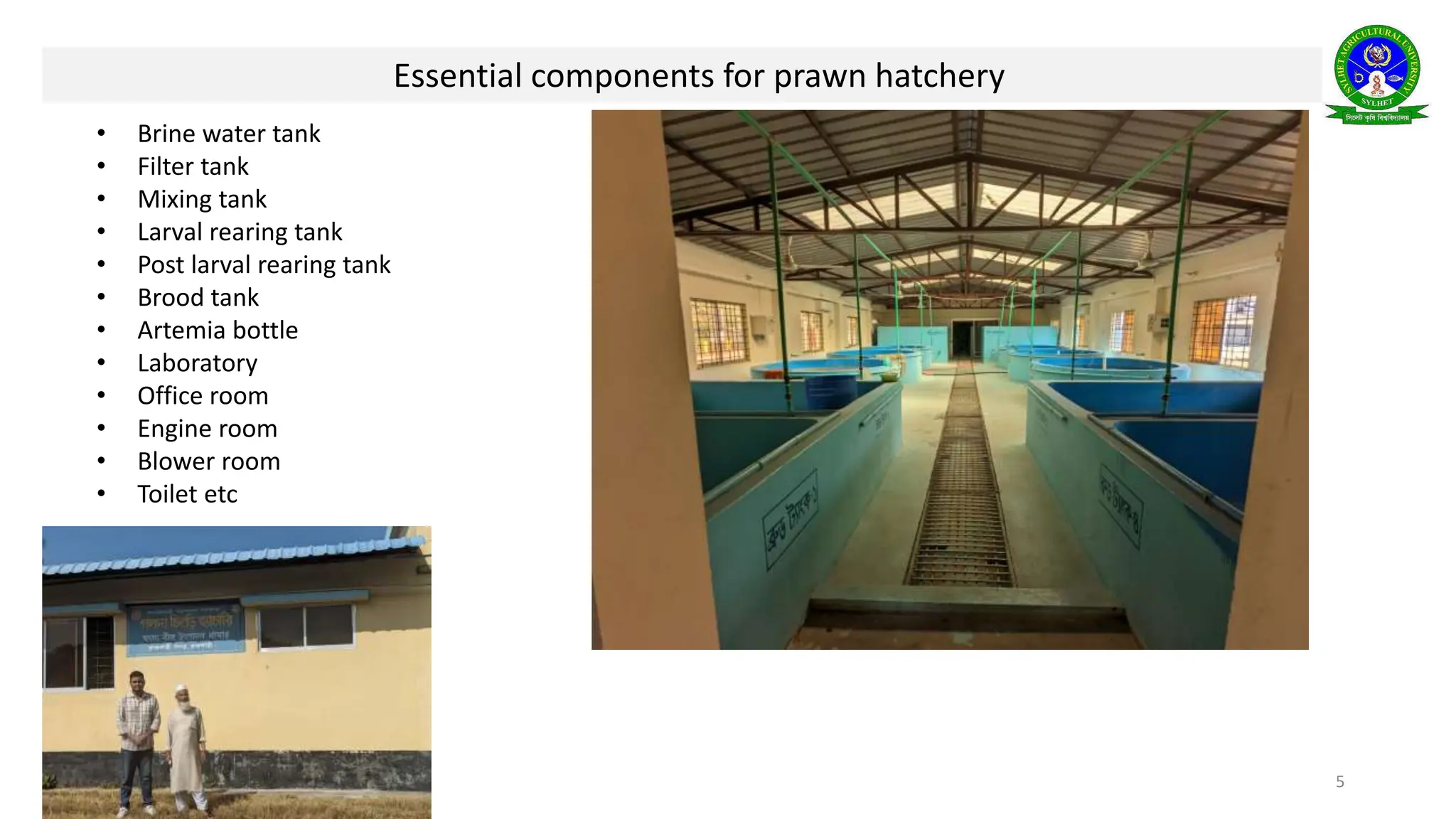 Layout of Prawn Hatchery in DFO Rajshahi | PPTX