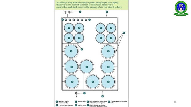 Layout of Prawn Hatchery in DFO Rajshahi | PPT
