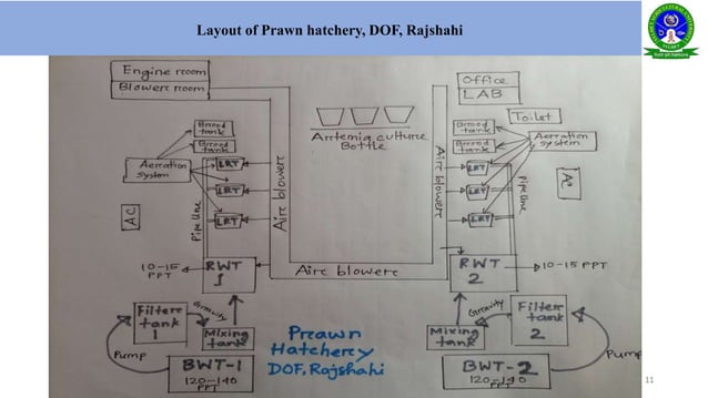 Layout of Prawn Hatchery in DFO Rajshahi | PPT
