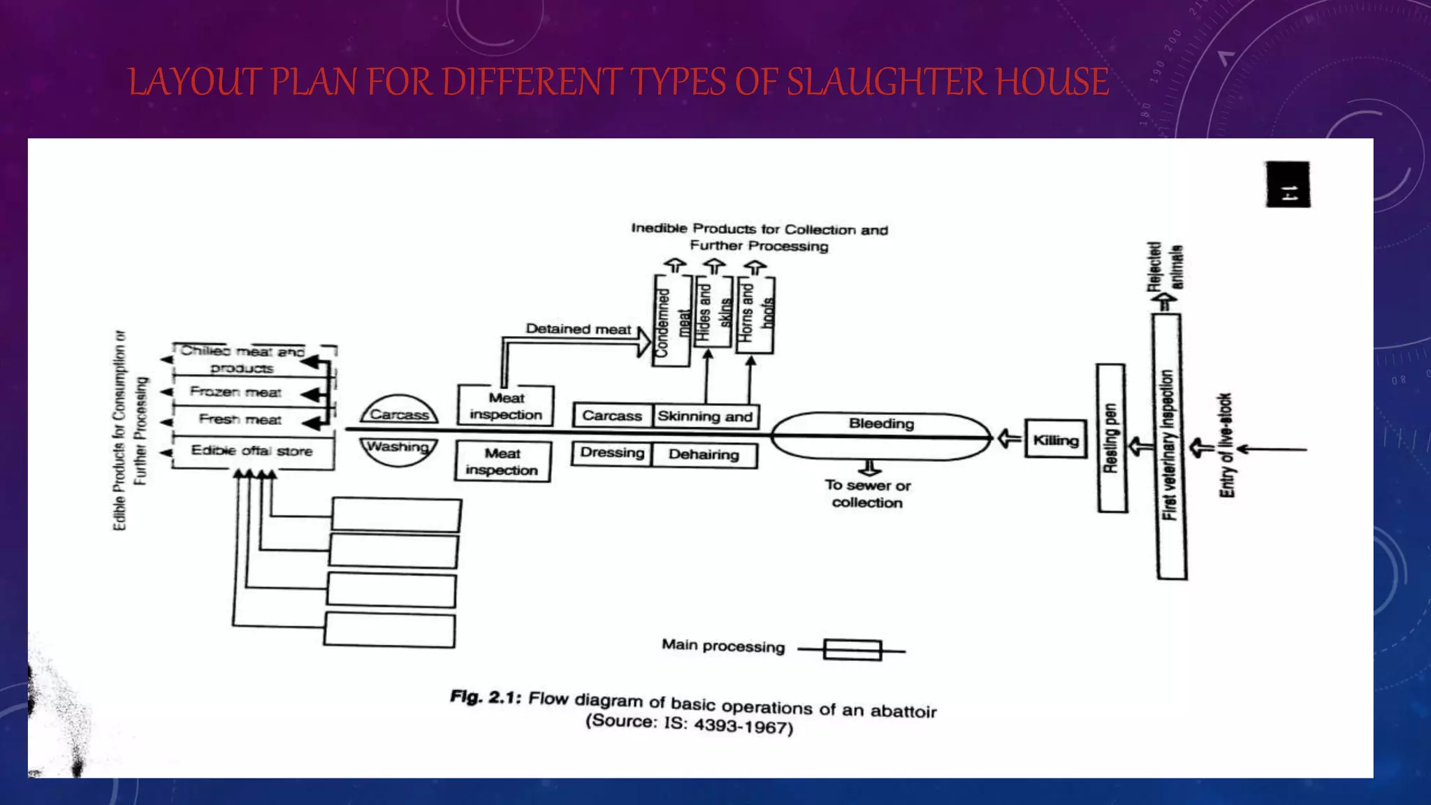 LAYOUT DESIGN OF SLAUGHTER HOUSE.pptx