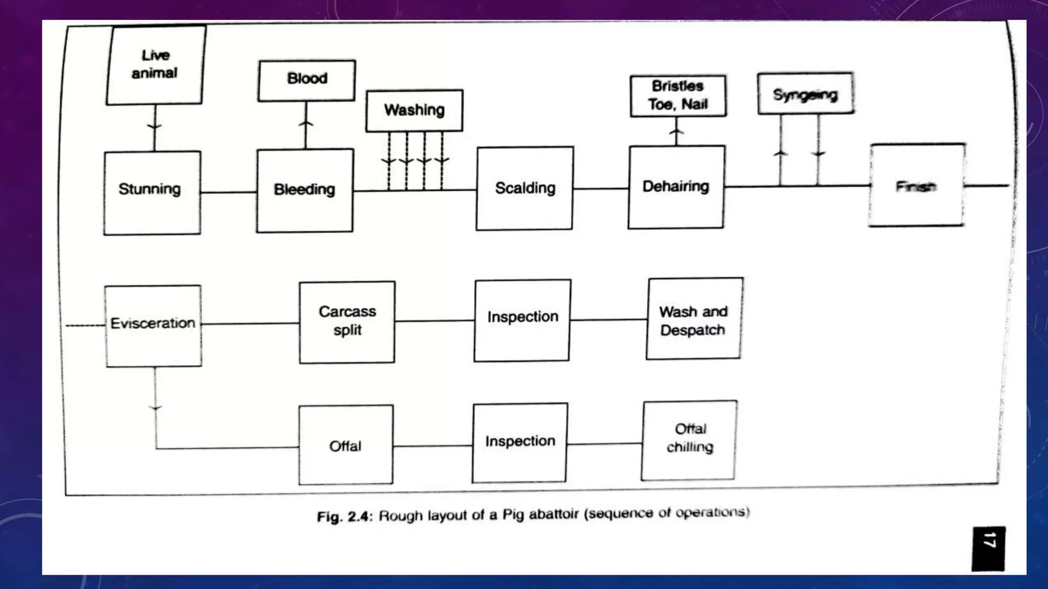 LAYOUT DESIGN OF SLAUGHTER HOUSE.pptx