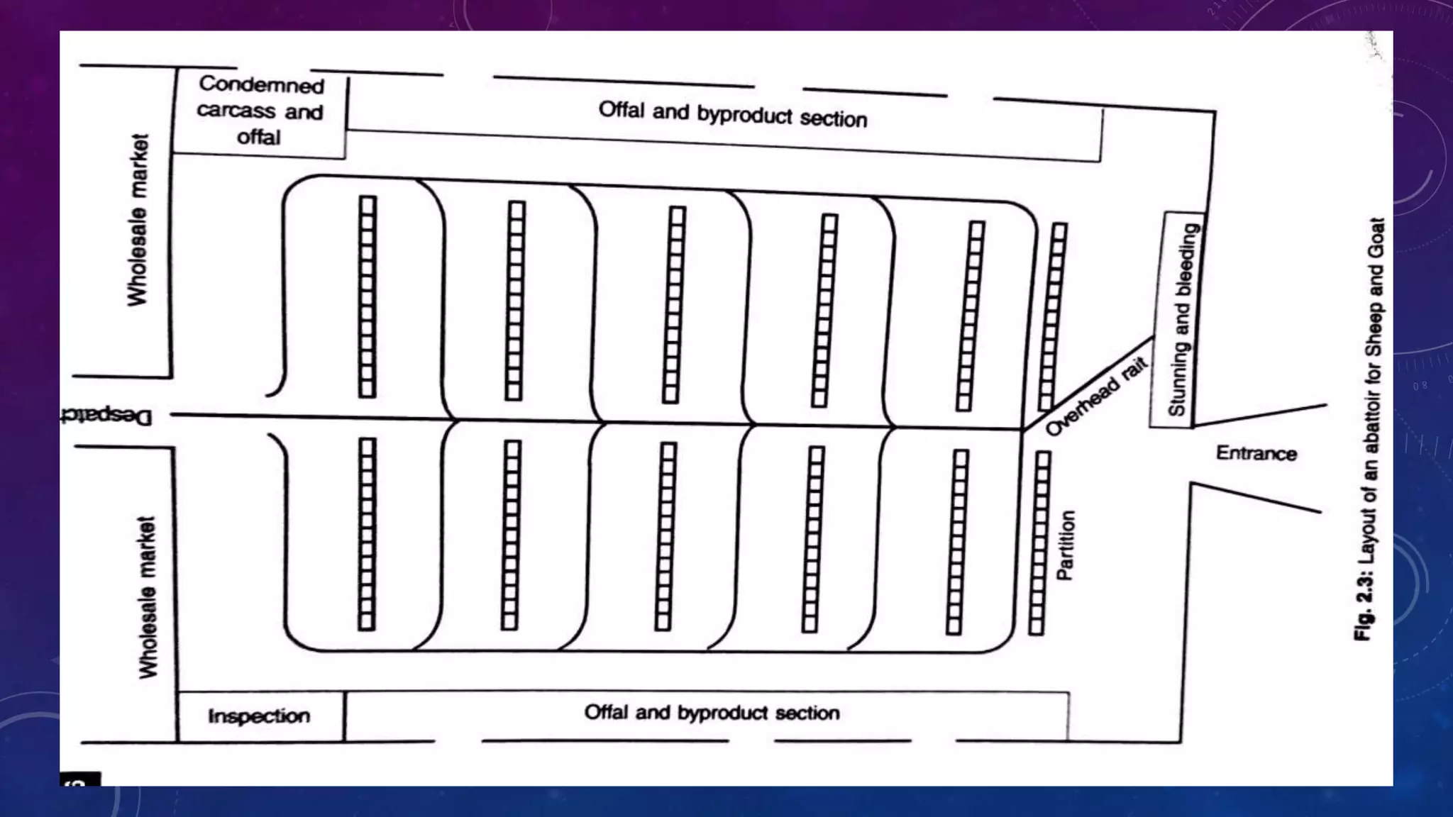 LAYOUT DESIGN OF SLAUGHTER HOUSE.pptx