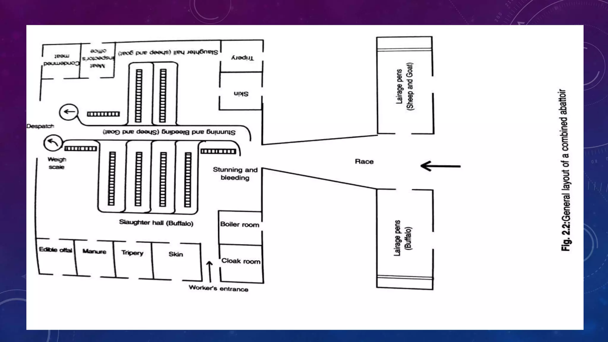 LAYOUT DESIGN OF SLAUGHTER HOUSE.pptx