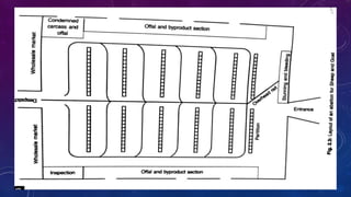 LAYOUT DESIGN OF SLAUGHTER HOUSE.pptx