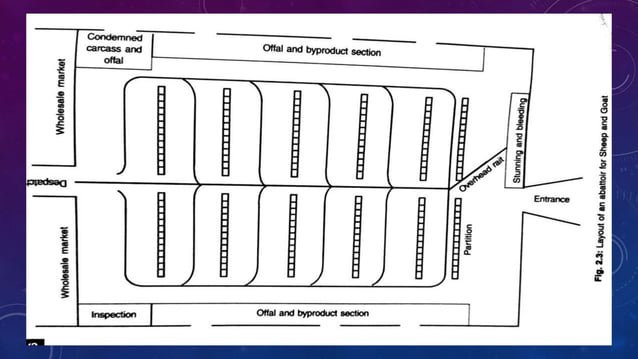 LAYOUT DESIGN OF SLAUGHTER HOUSE.pptx | Indoor Environmental Quality ...