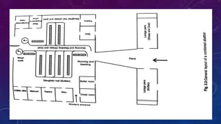 LAYOUT DESIGN OF SLAUGHTER HOUSE.pptx